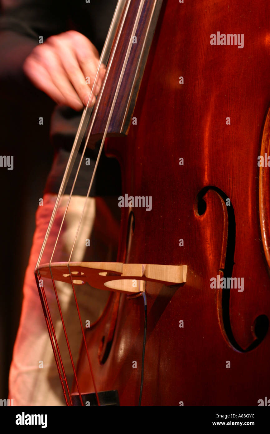Man playing double bass in jazz club Stock Photo - Alamy