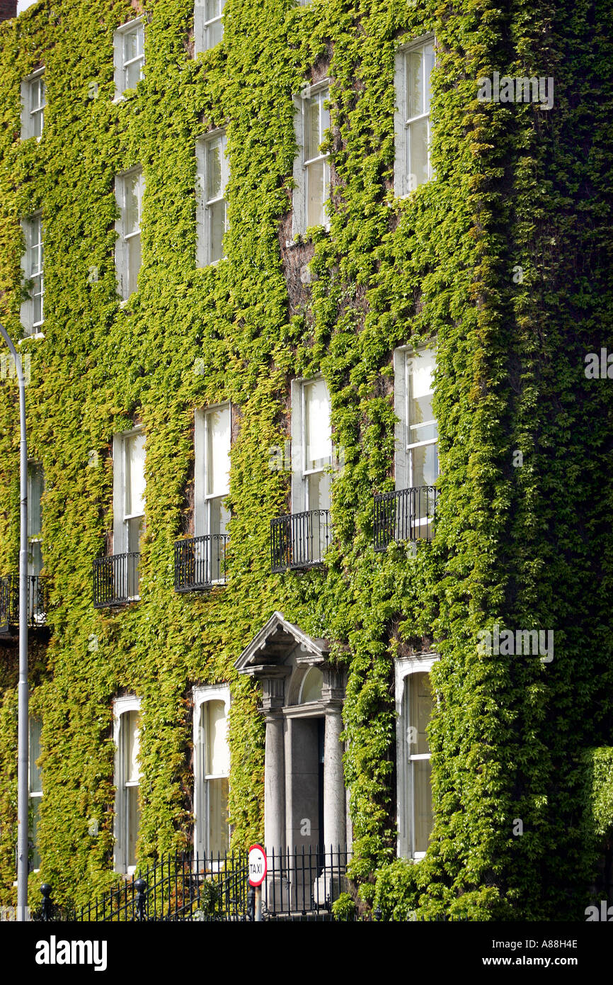 Ivy clad hi-res stock photography and images - Alamy