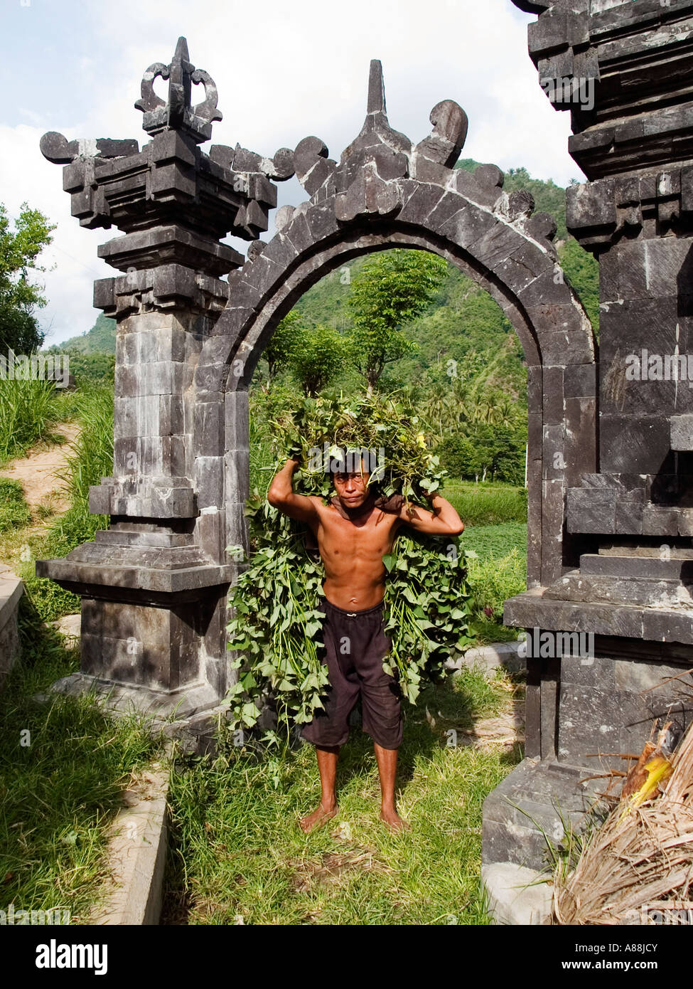 Farmer gate back man hi-res stock photography and images - Alamy