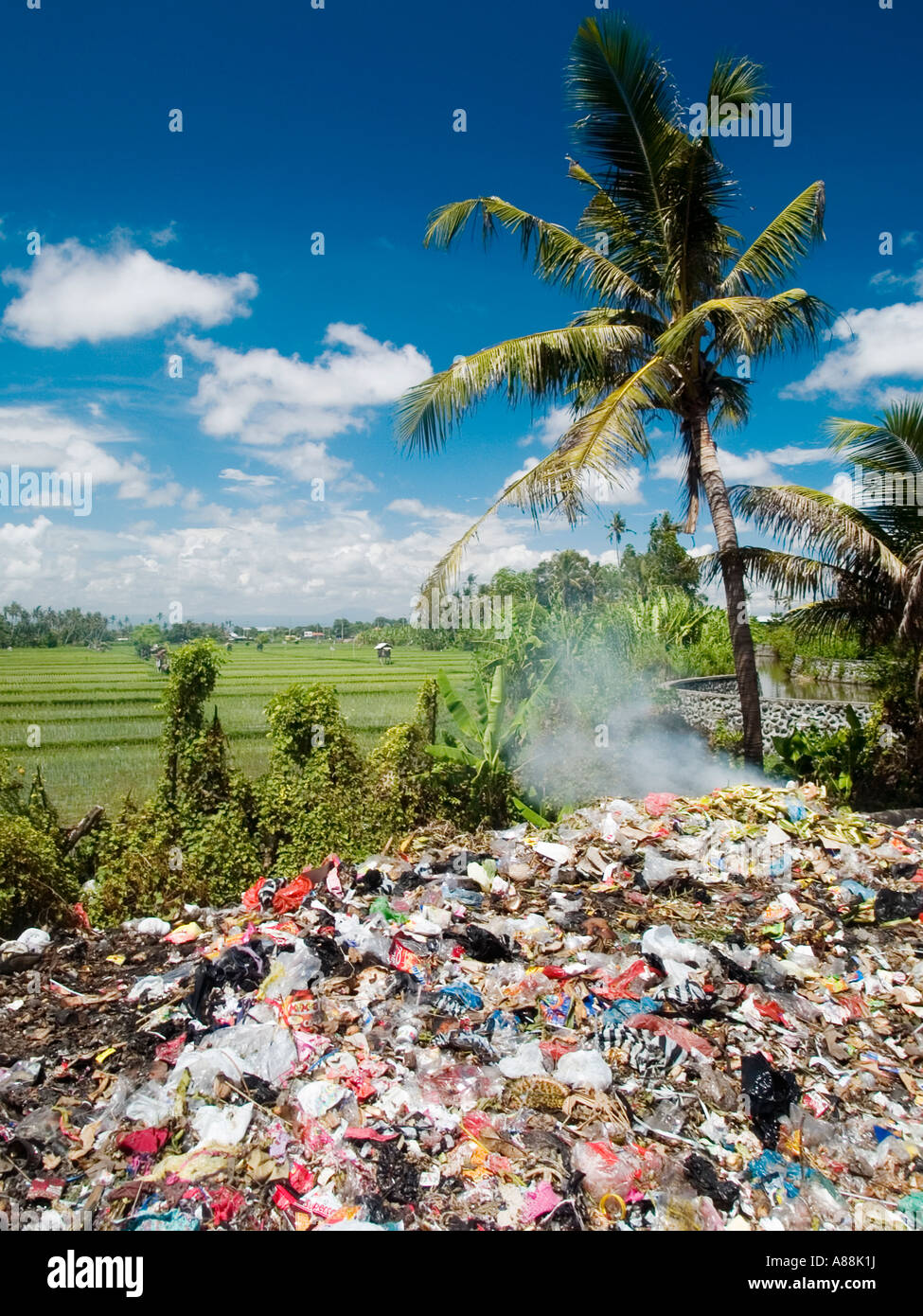 Dumped rice hi-res stock photography and images - Alamy