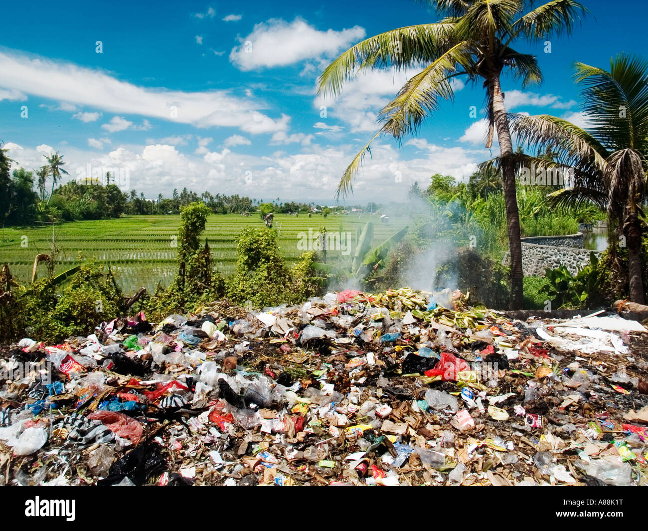 local rubbish dump in front of a picturesque rice field near denpasar ...