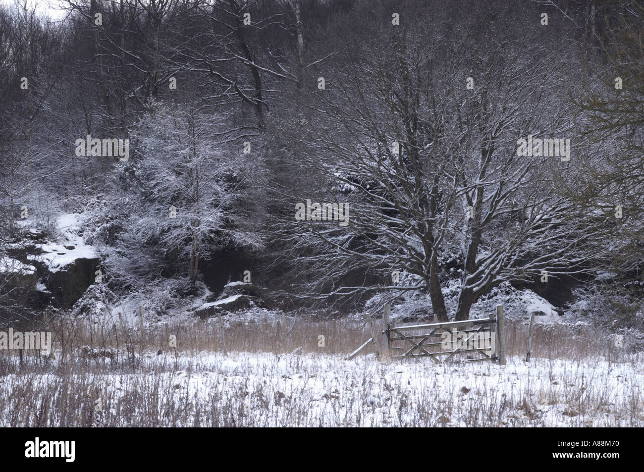 Climbing harrisons rocks hi-res stock photography and images - Alamy