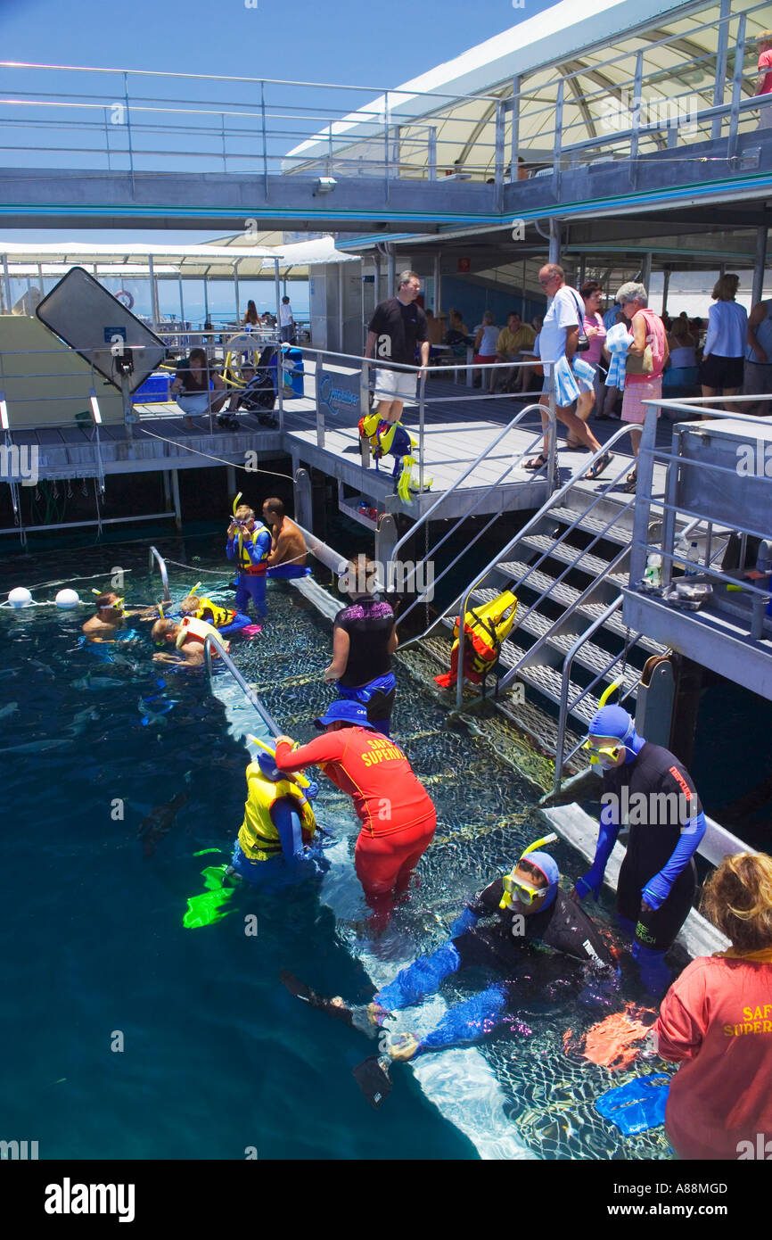 Great Barrier Reef North Queensland Australia Stock Photo - Alamy