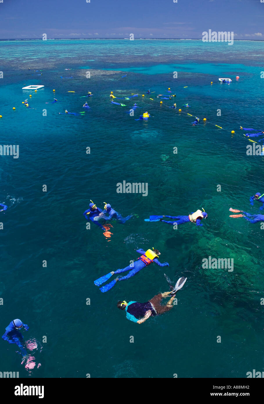 Great Barrier Reef North Queensland Australia Stock Photo - Alamy