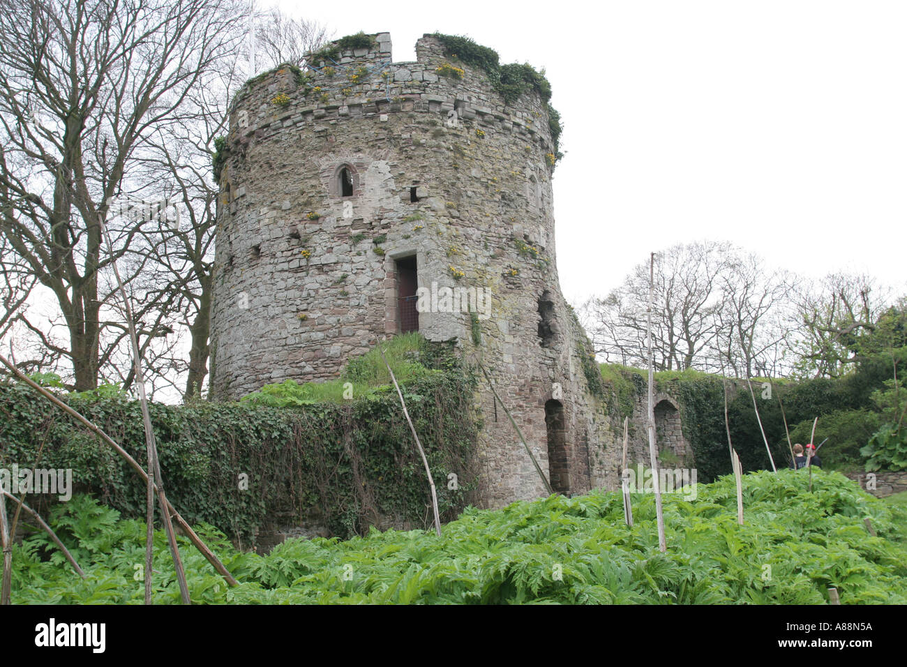 Tower Usk Castle Monmouthshire South East Wales Stock Photo - Alamy