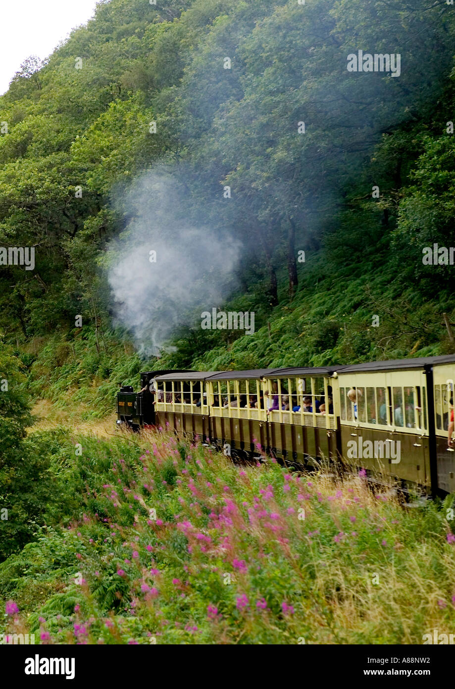 Vale of rheidol railway hi-res stock photography and images - Alamy