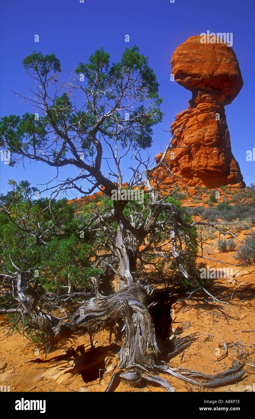 Balanced Rock at The Arches National Park near Moab Utah USA Stock ...