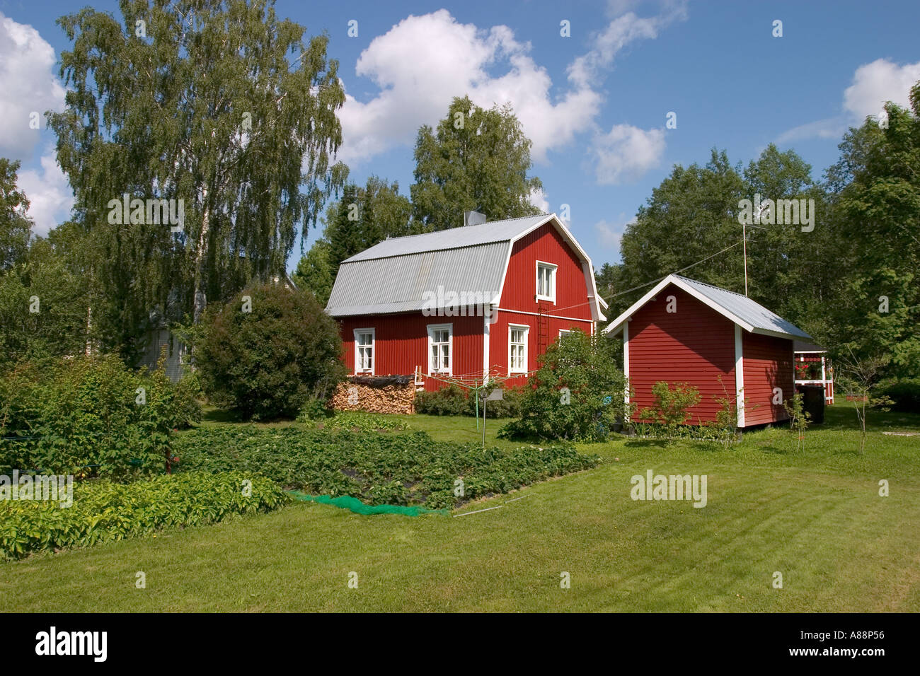 Old-fashioned traditional Finnish red wooden frame house and garden ...