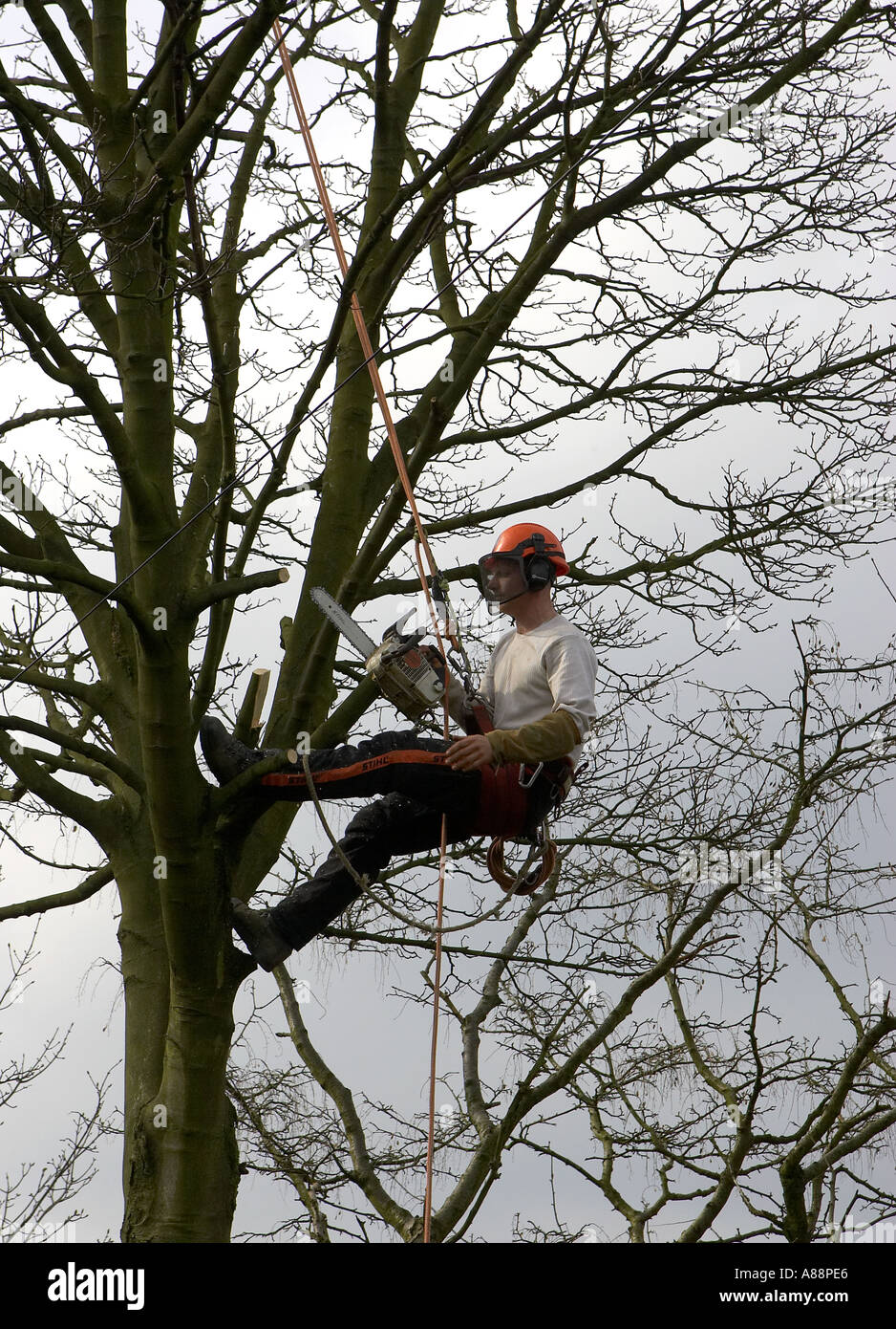 Tree preservation order hi-res stock photography and images - Alamy