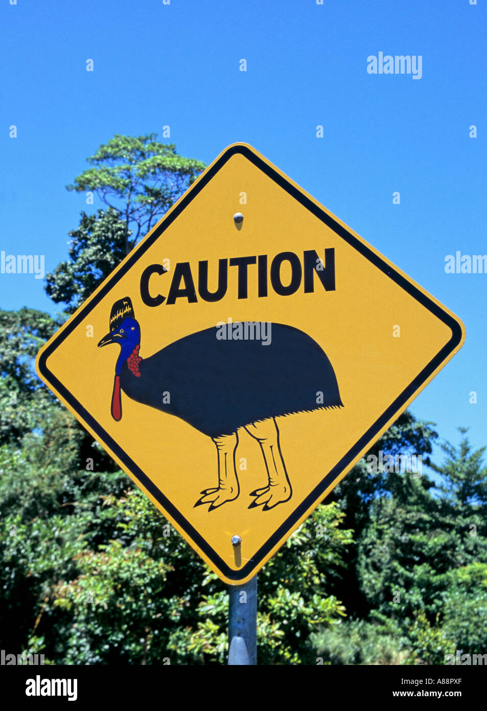 Cassowary road sign hi-res stock photography and images - Alamy
