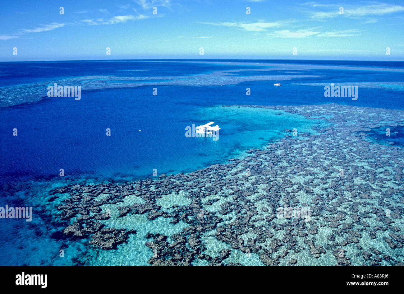 Great Barrier Reef North Queensland Australia Stock Photo - Alamy