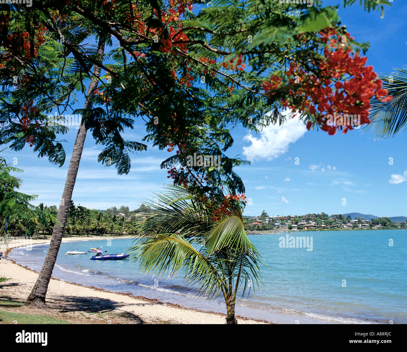 Airlie Beach Queensland Australia Stock Photo - Alamy