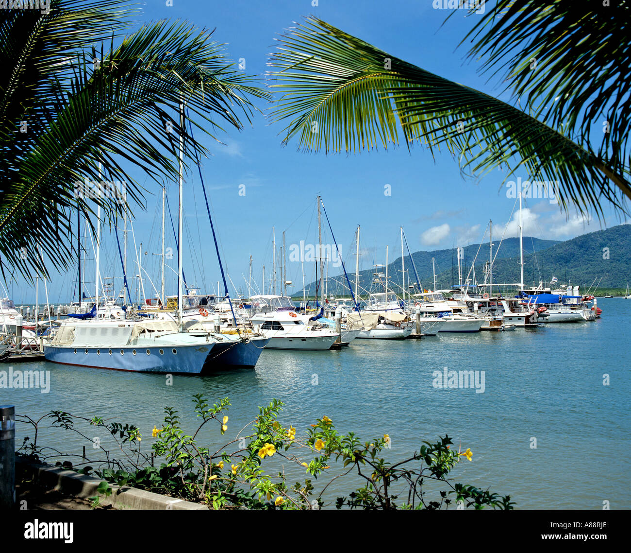 Cairns Queensland Australia Stock Photo - Alamy