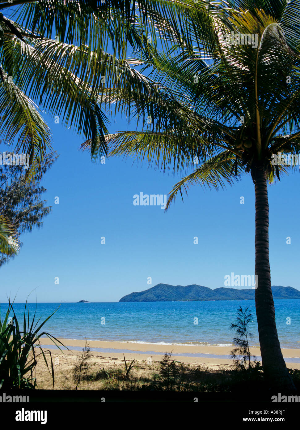 Dunk Island Queensland Australia Stock Photo - Alamy