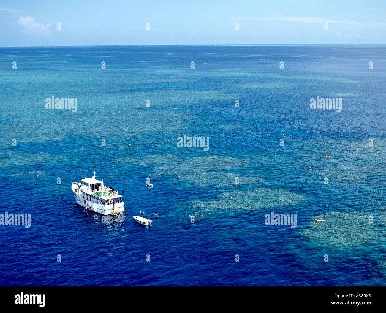 Great Barrier Reef North Queensland Australia Stock Photo - Alamy