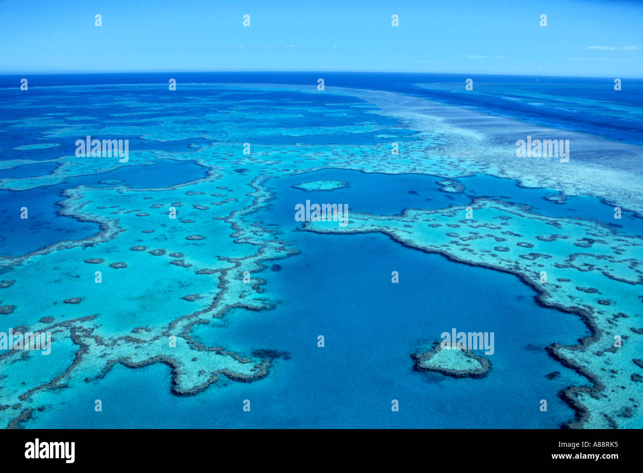 Great Barrier Reef North Queensland Australia Stock Photo - Alamy
