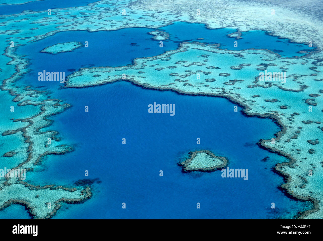 Great Barrier Reef North Queensland Australia Stock Photo - Alamy
