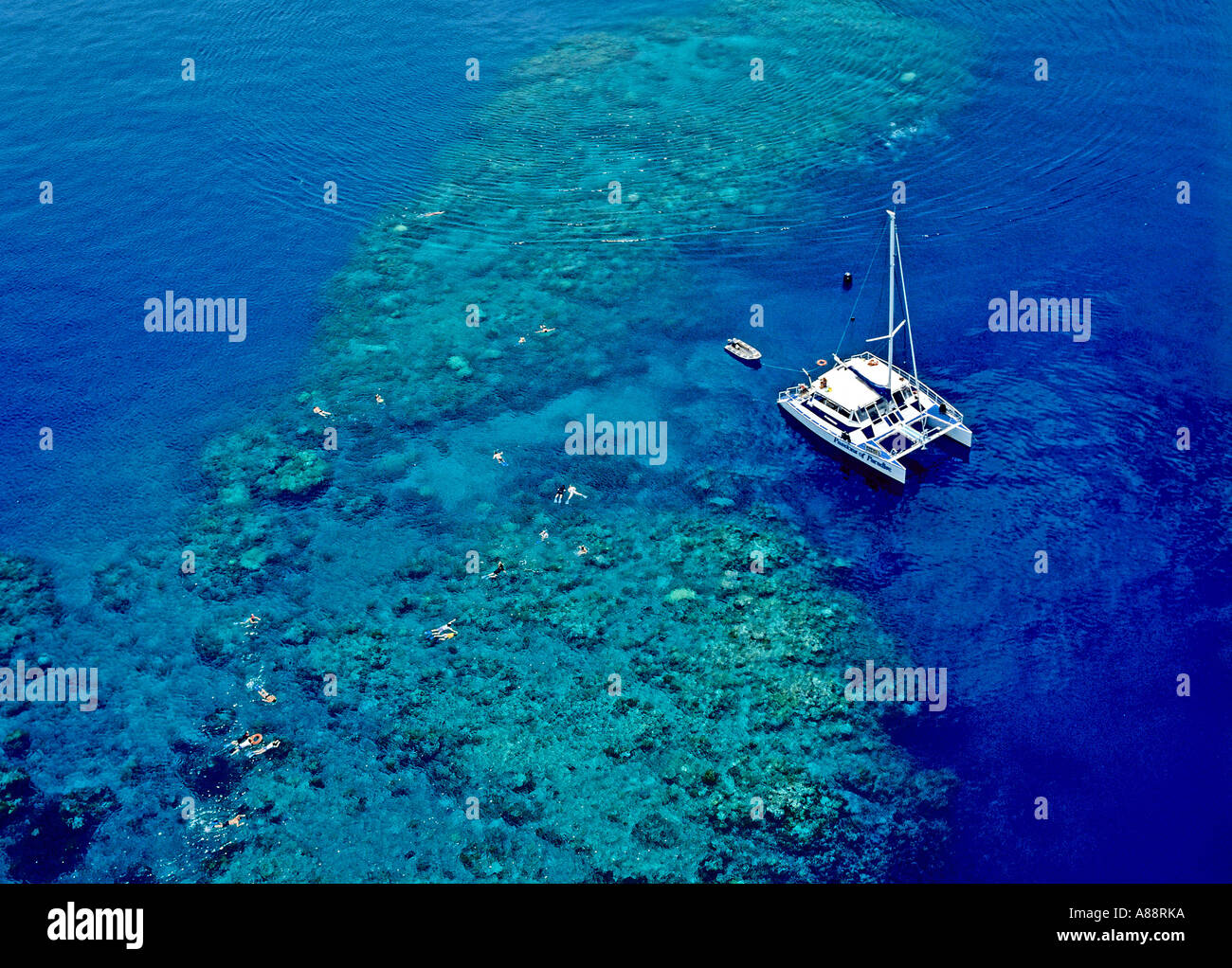 Michaelmas Cay Queensland Australia Stock Photo - Alamy