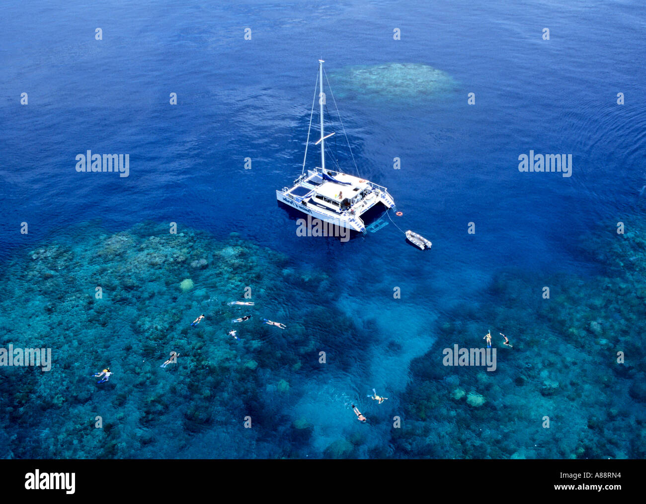 Great Barrier Reef North Queensland Australia Stock Photo - Alamy