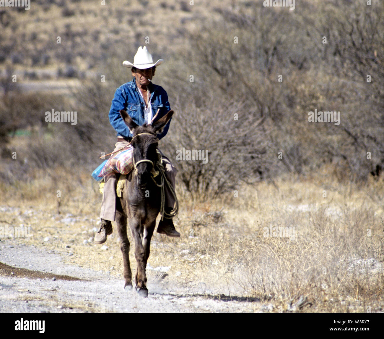 Durango State Mexico Stock Photo - Alamy