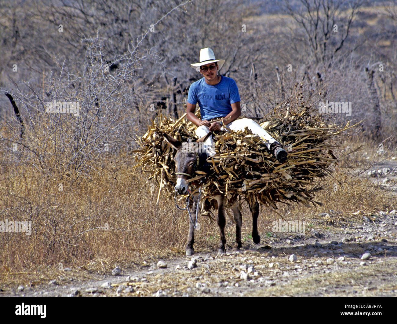 Ranchero man hi-res stock photography and images - Alamy