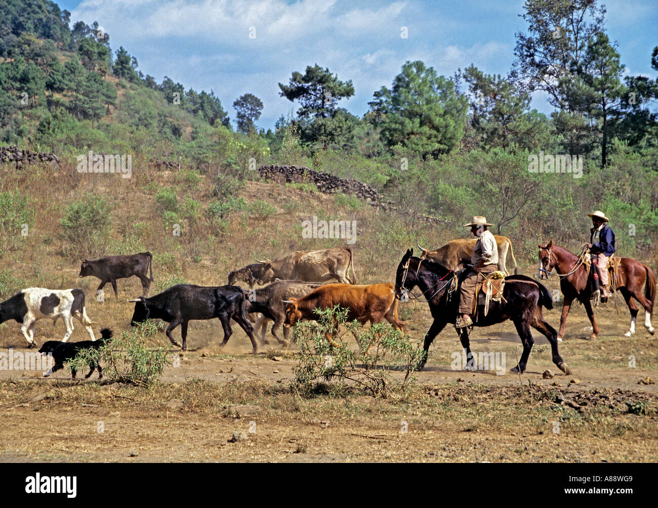 Michoacan State Mexico Stock Photo - Alamy