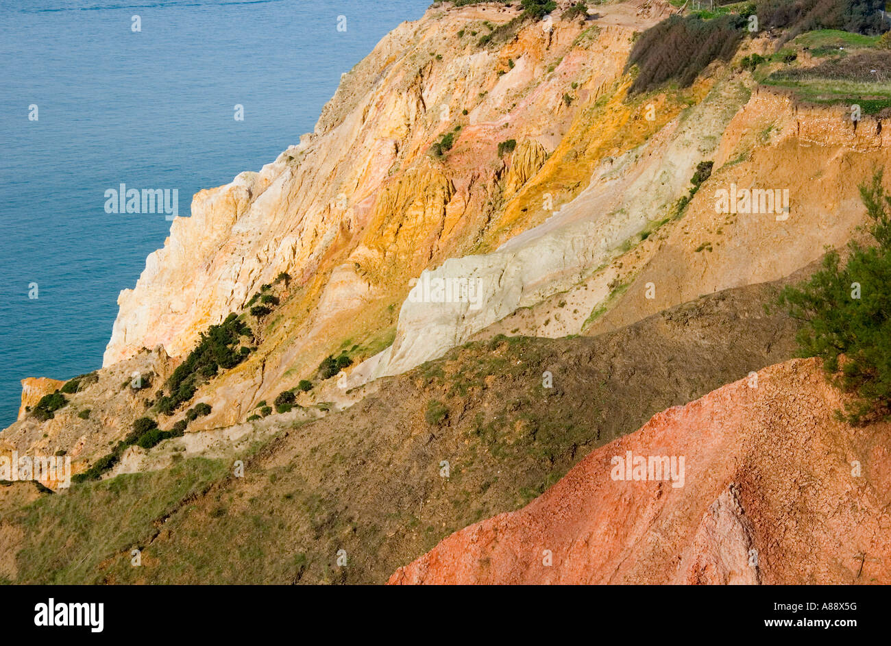 Bracklesham limestone hi-res stock photography and images - Alamy