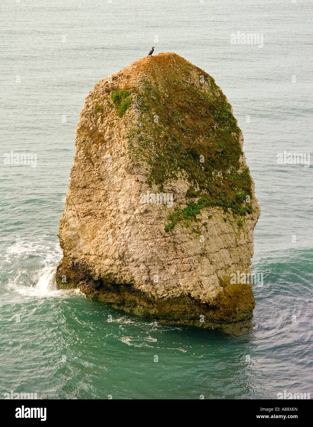 Chalk stack at Freshwater Bay Stock Photo - Alamy