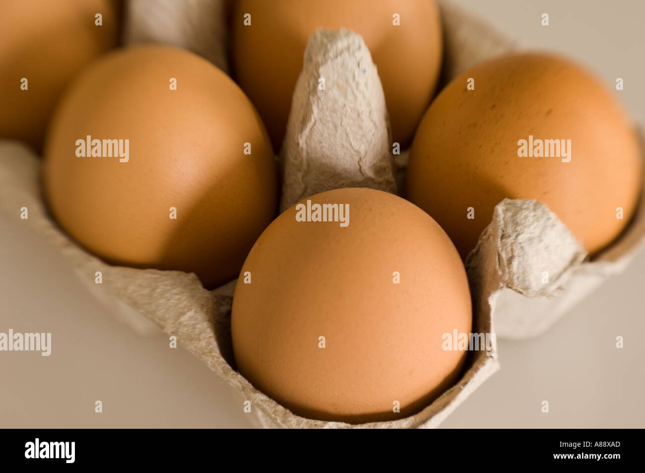cardboard egg box with eggs Stock Photo - Alamy