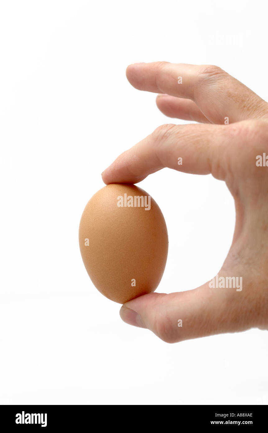 hand holding an egg Stock Photo - Alamy