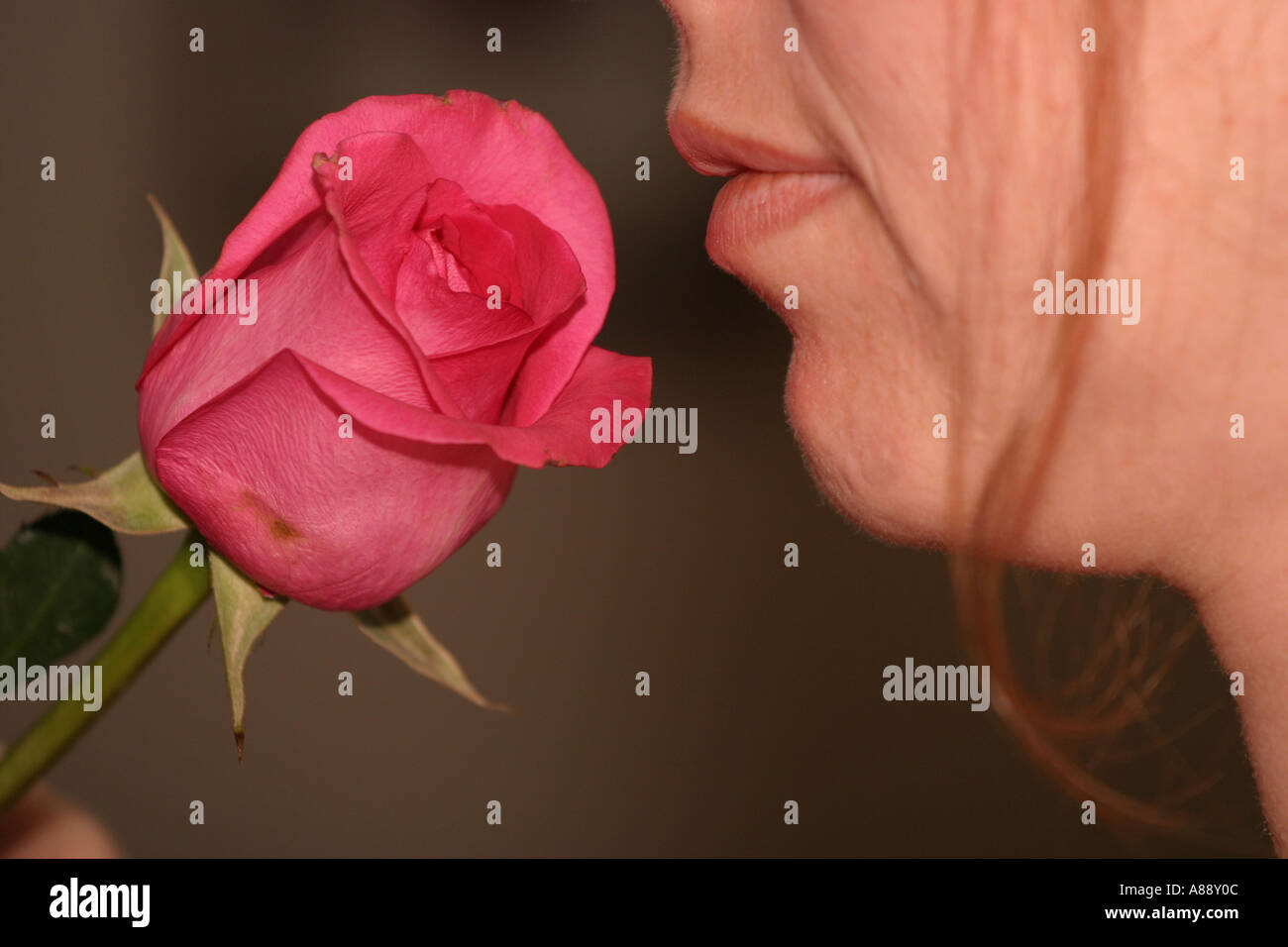 Nose smelling roses hi-res stock photography and images - Alamy