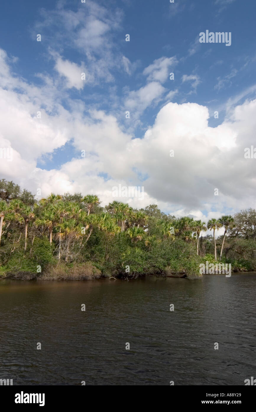 Myakka River in southwest Florida Stock Photo - Alamy