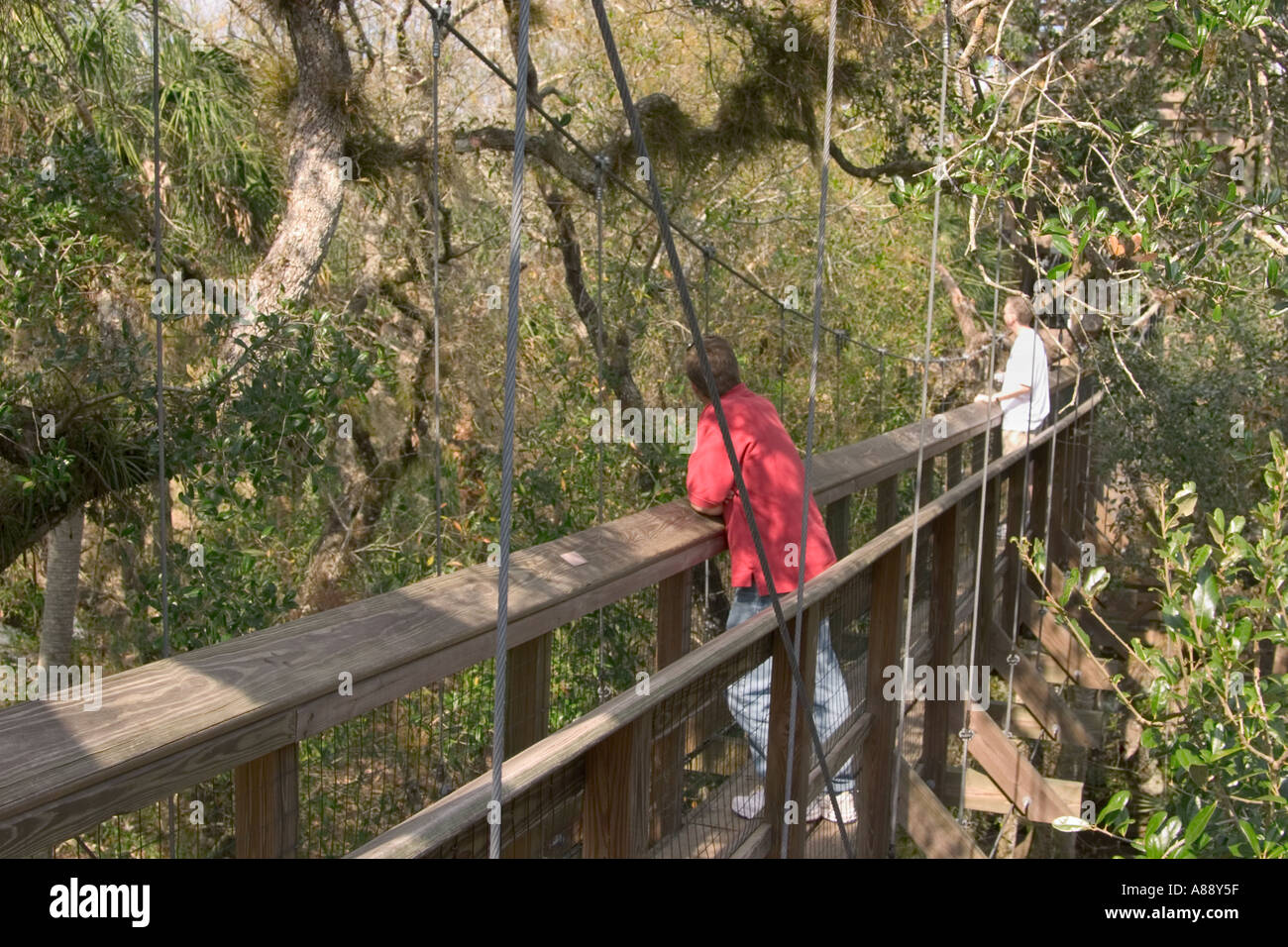 Canopy Walkway at Myakka River State Park Florida Stock Photo - Alamy