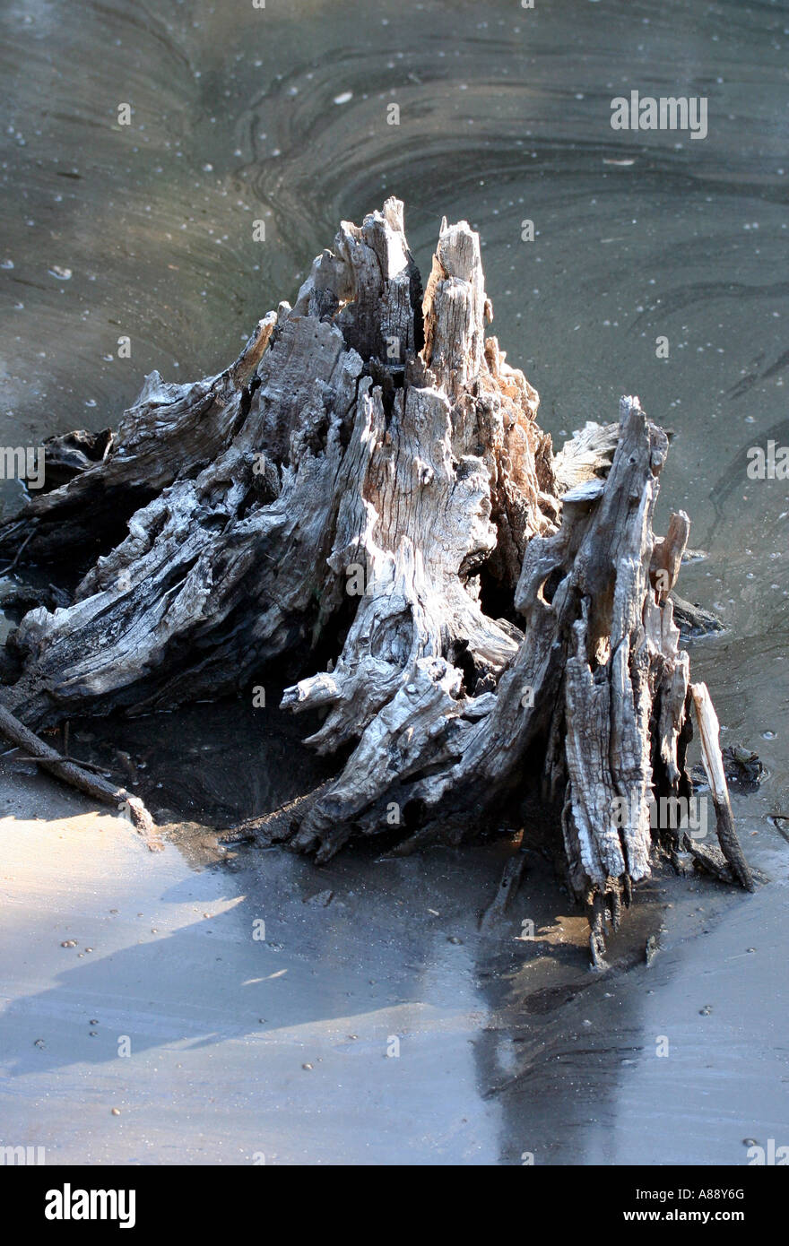 AN OIL SPILL IN A POND OF WATER BDA10452 Stock Photo - Alamy