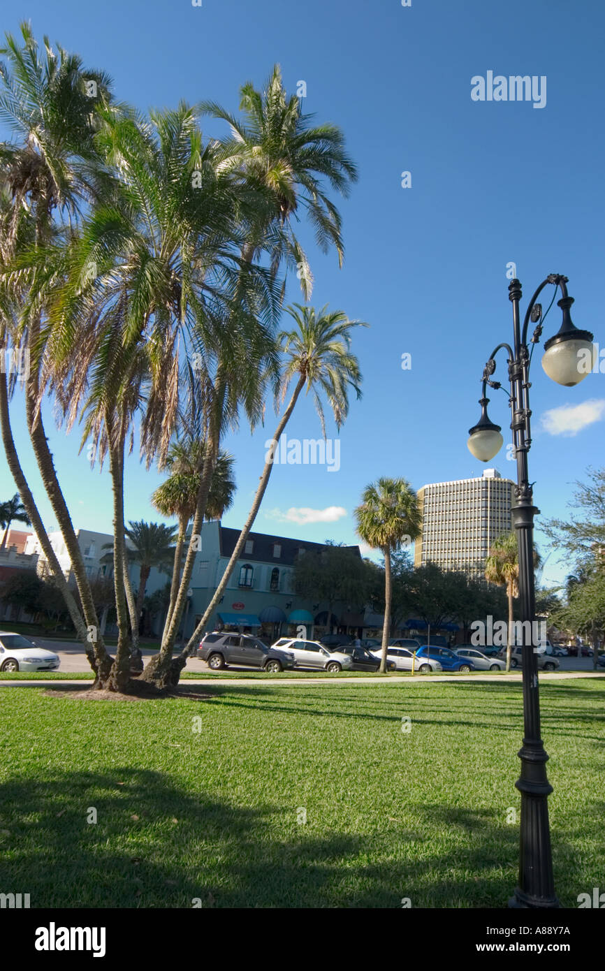 Palm trees in South Straub Park on the waterfront in downtown St ...