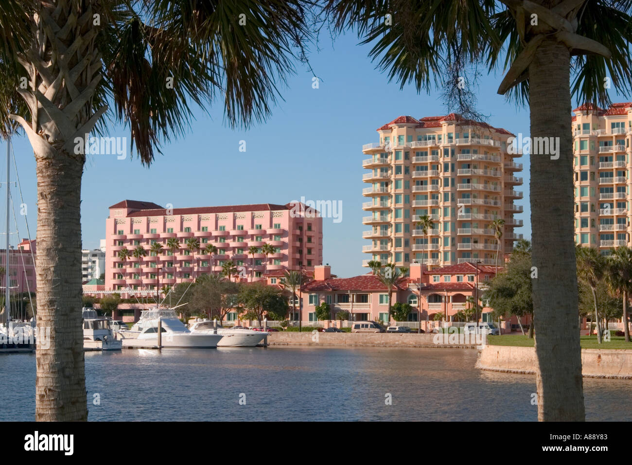 Palm trees framing high rise buildings on the waterfront in downtown St ...