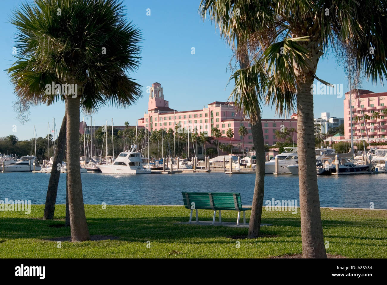 Palm trees in the park on the waterfront framing buildings in downtown ...