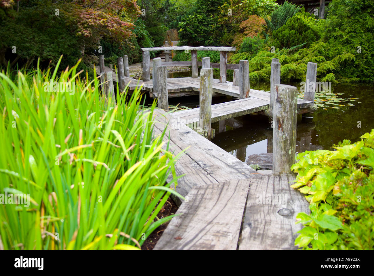Walkway across pond Stock Photo - Alamy
