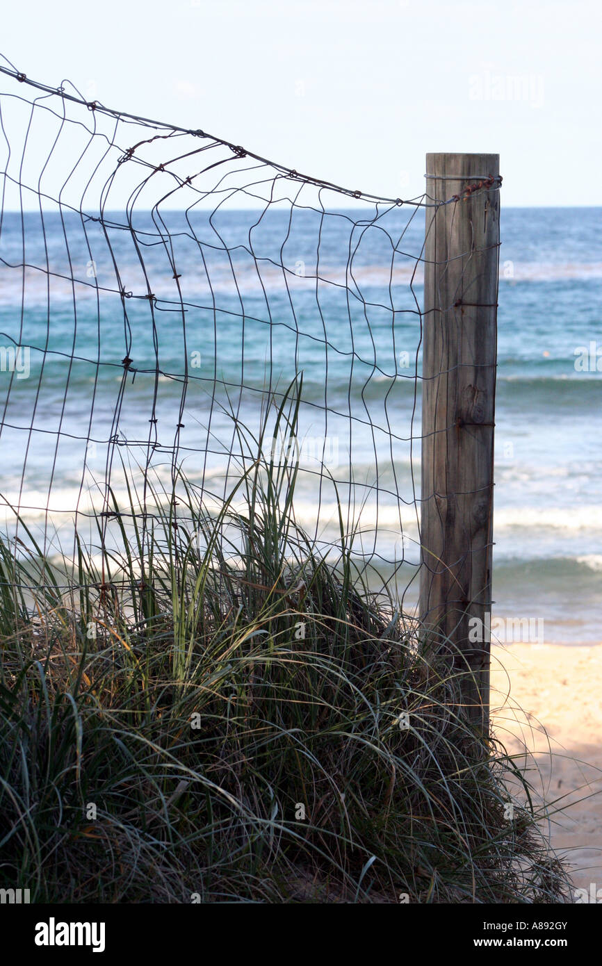 A FENCE ON THE BEACH BDA10680 Stock Photo - Alamy