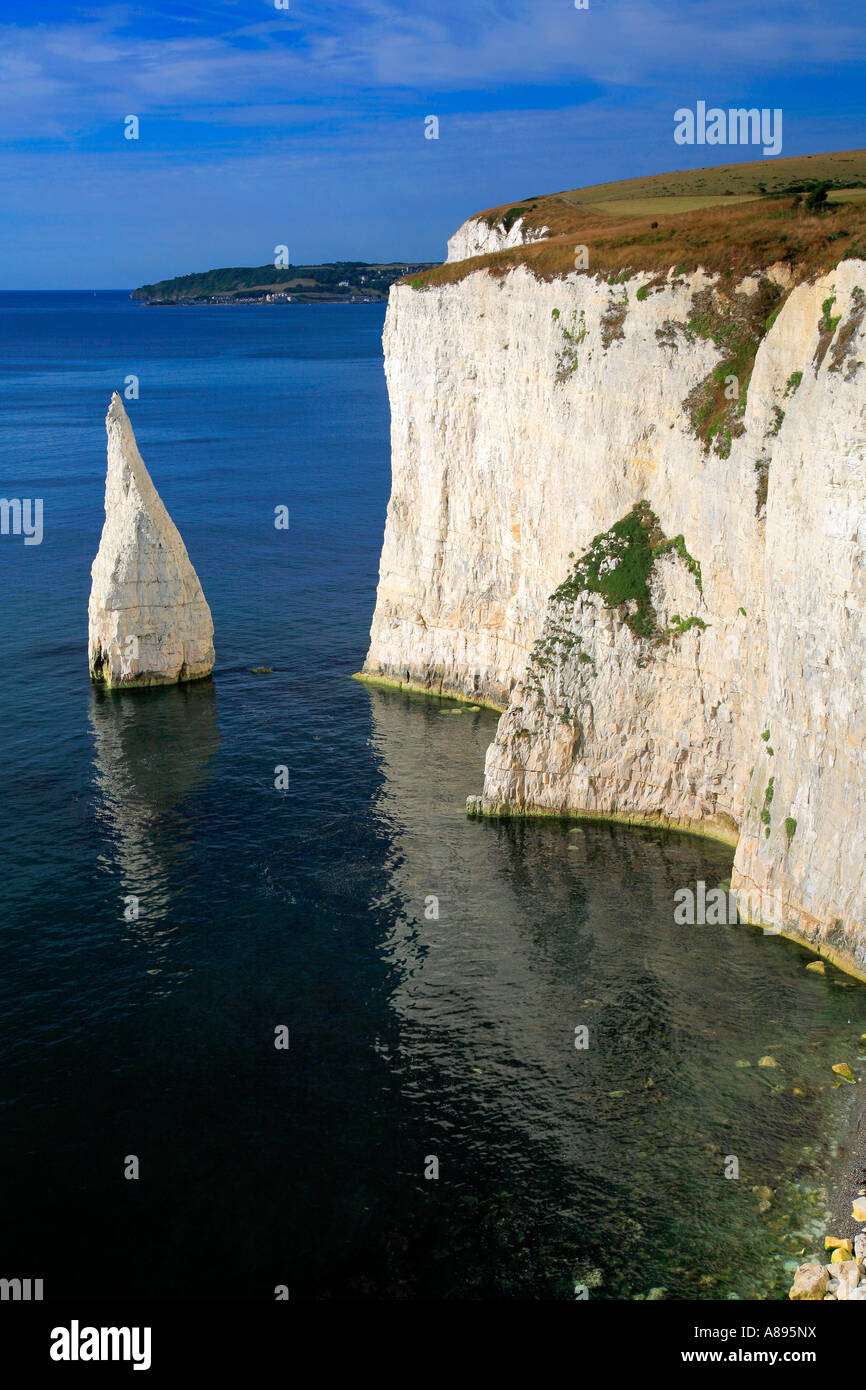 The Pinnacles Sea Stacks Swanage Bay Jurassic coast Dorset England ...