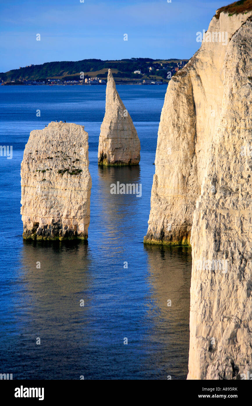 The Pinnacles Sea Stacks Swanage Bay Jurassic coast Dorset England ...