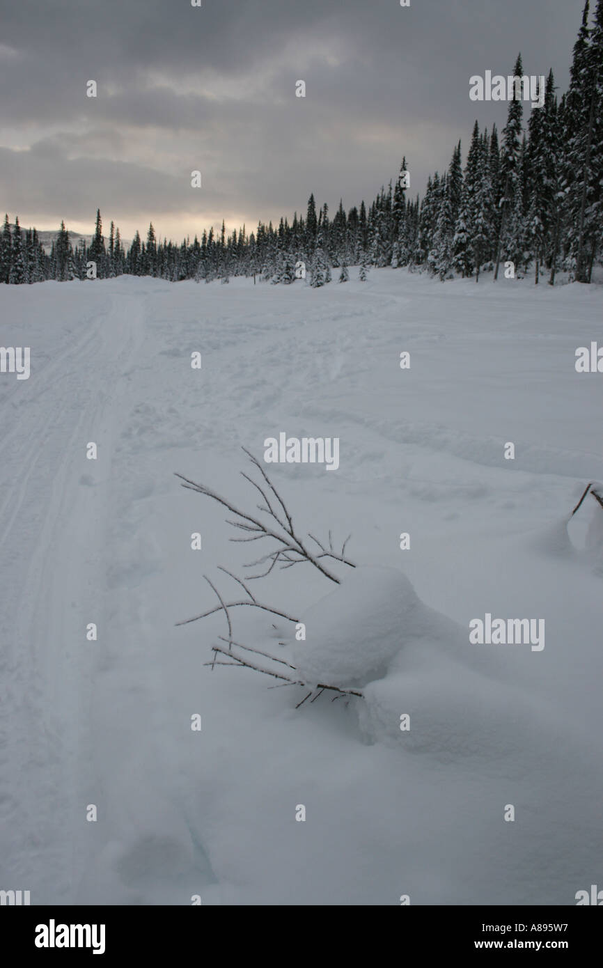 Winter scene at Lake Louise in Banff National Park Alberta Canada Stock ...