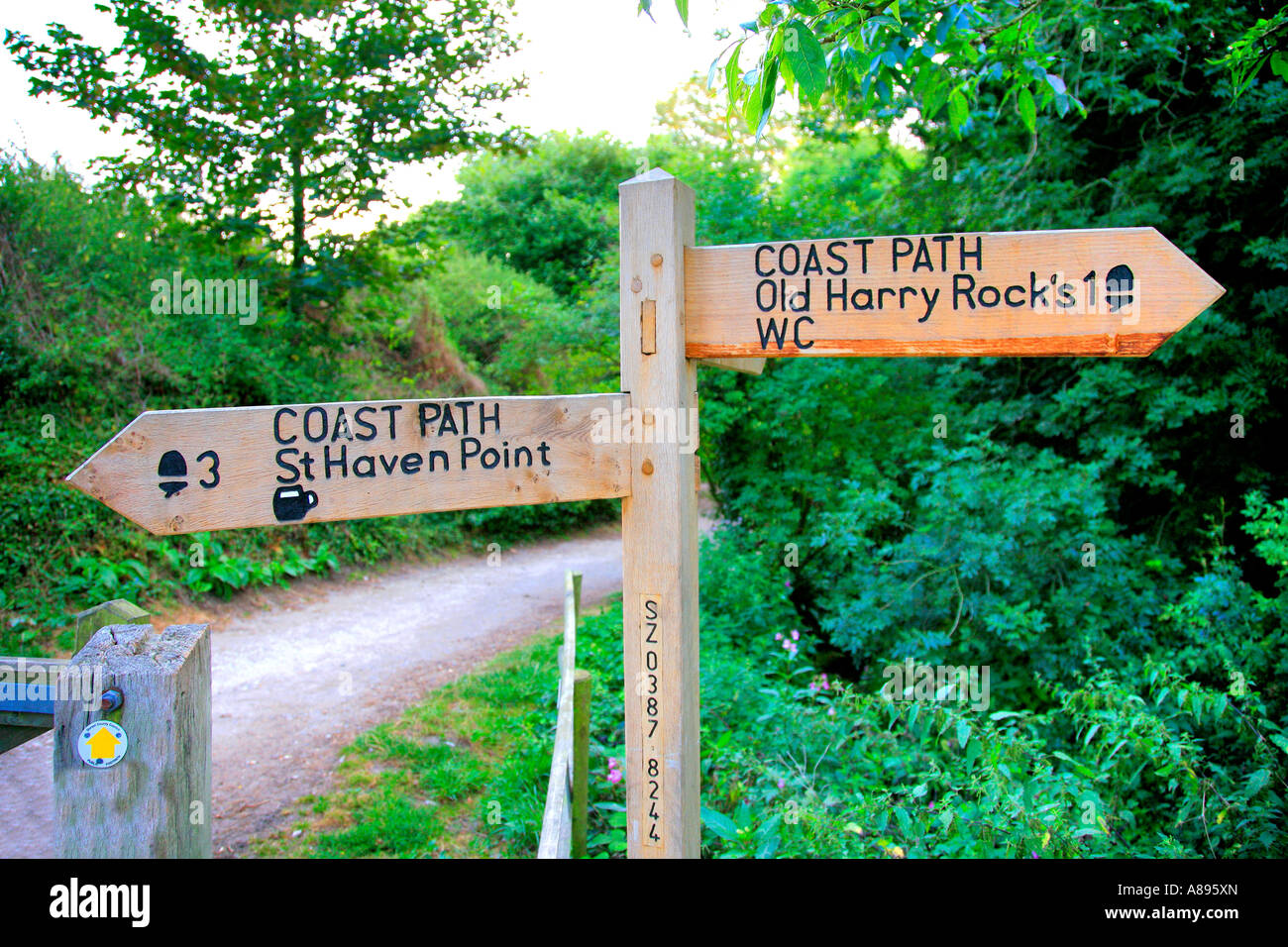 Old harry rocks poole dorset hi-res stock photography and images - Alamy