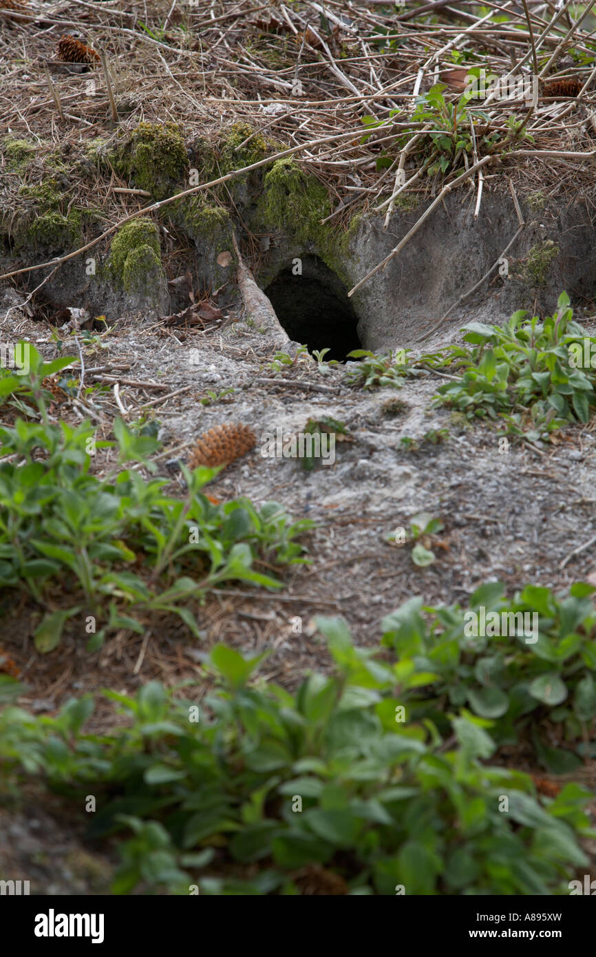 Bank dwelling hi-res stock photography and images - Alamy