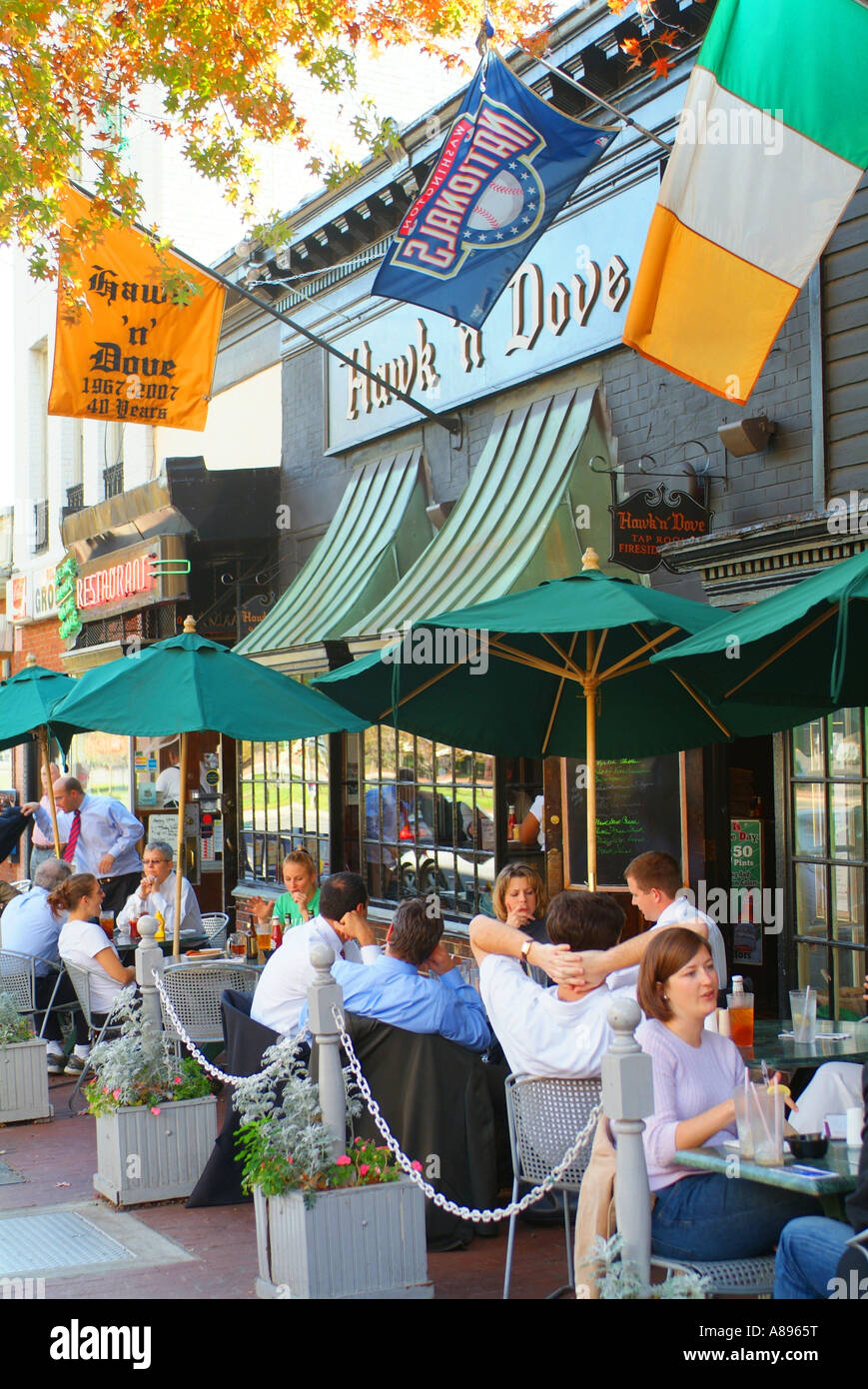 Hawk and dove washington hi-res stock photography and images - Alamy