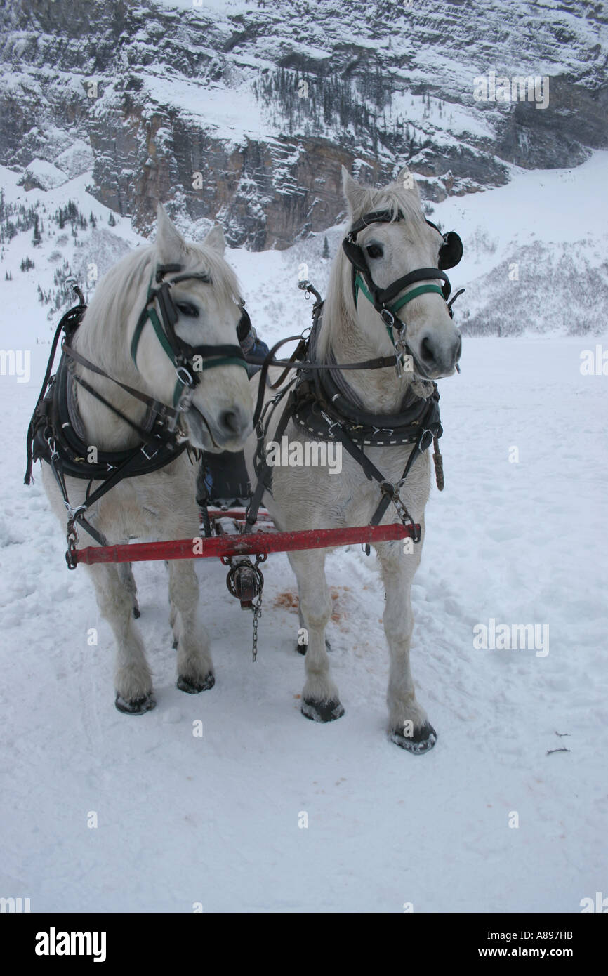 Christmas sleigh hi-res stock photography and images - Alamy