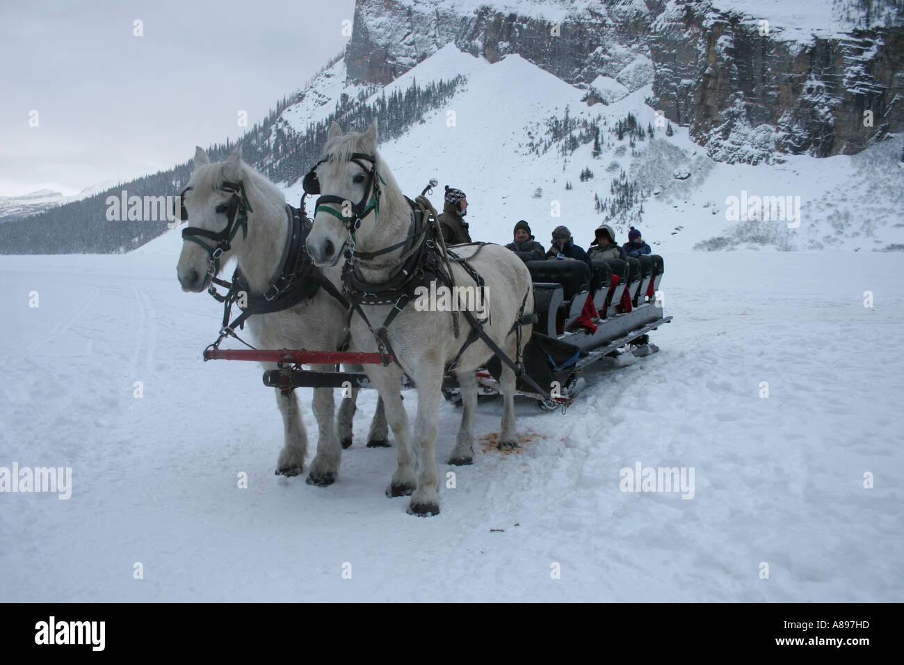 Horse drawn sleigh hi-res stock photography and images - Alamy