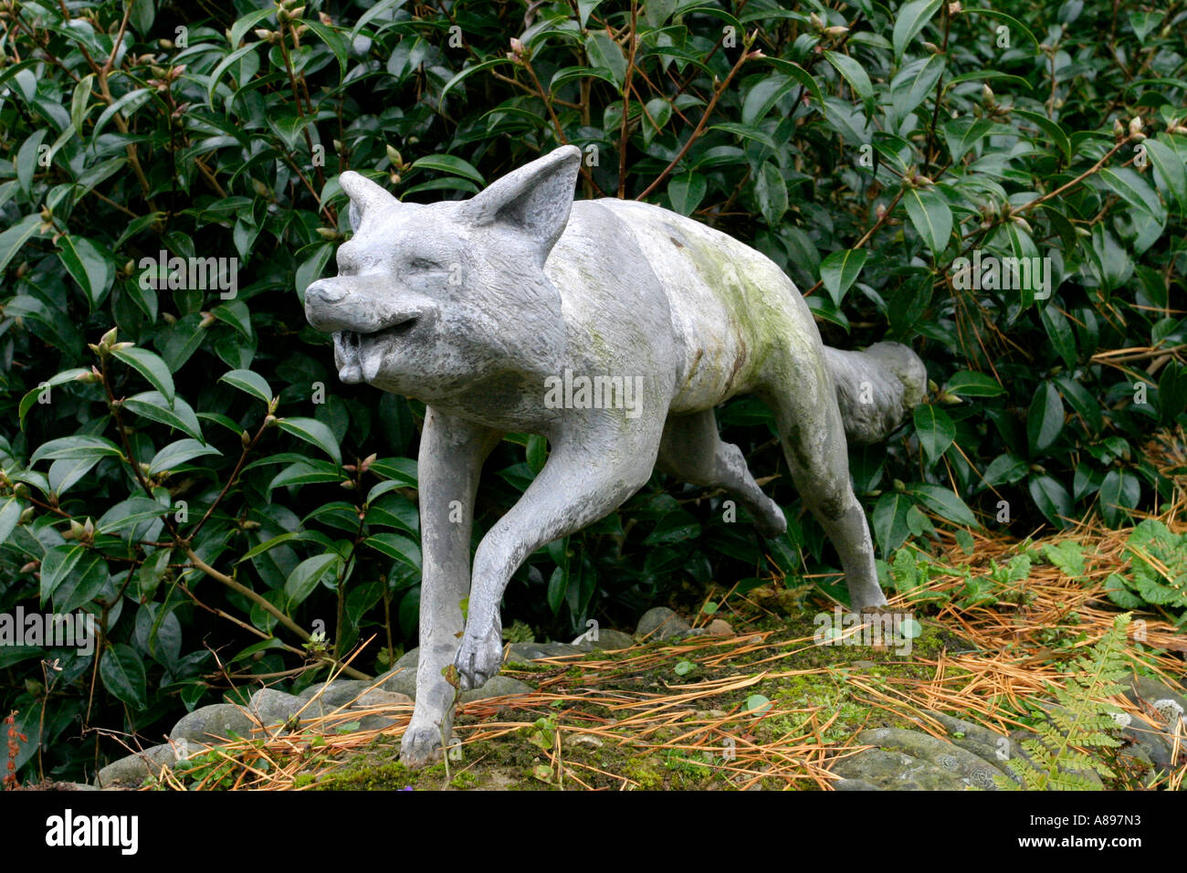Stone fox sculpture in Cornwall, England Stock Photo - Alamy