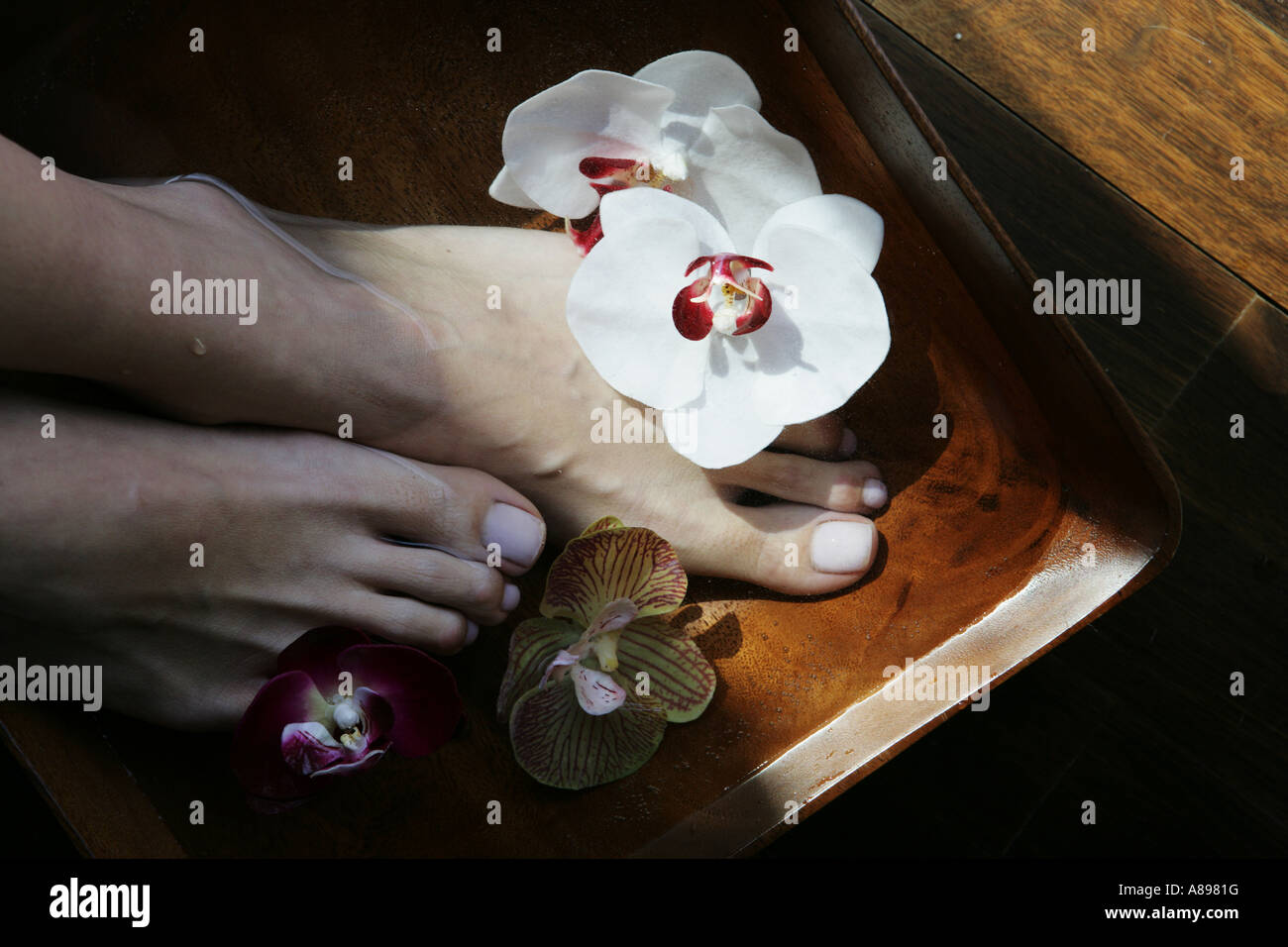 Close-up of woman's feet with orchid flowers Stock Photo - Alamy