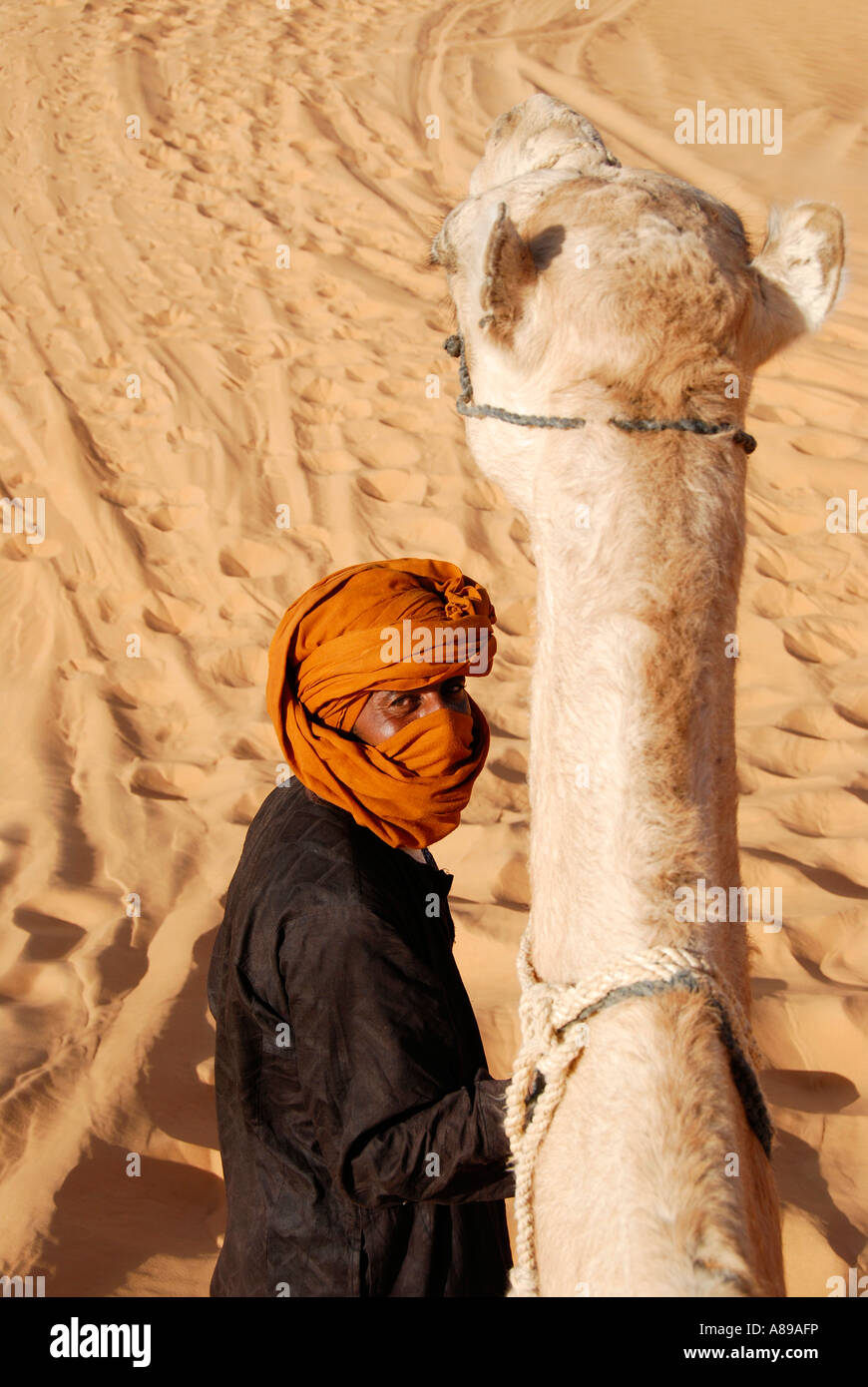 Libya tuareg camel africa desert hi-res stock photography and images ...